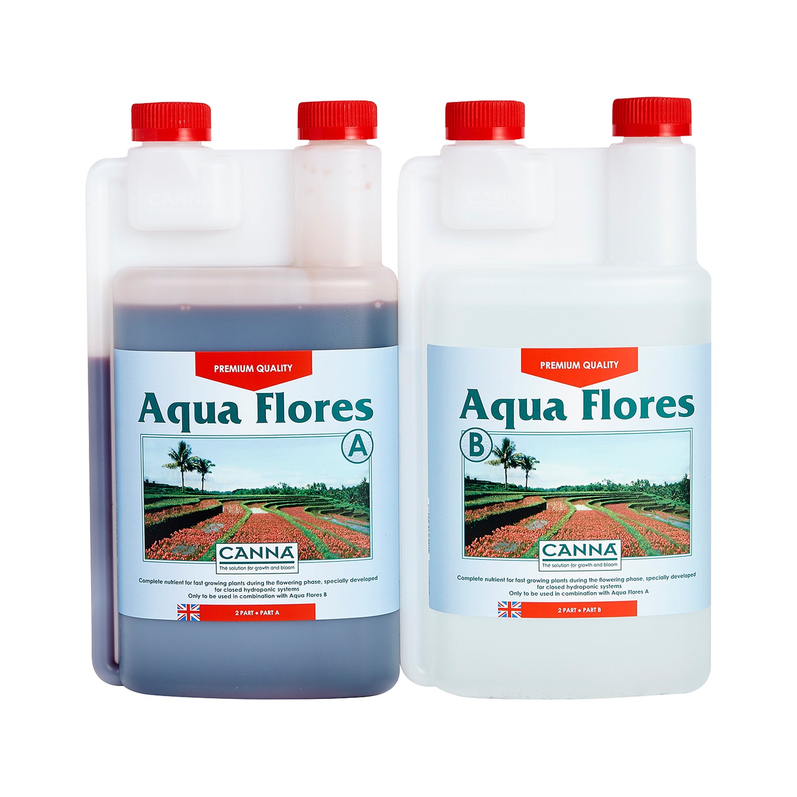 Canna - Aqua Flores | Gro-Rite